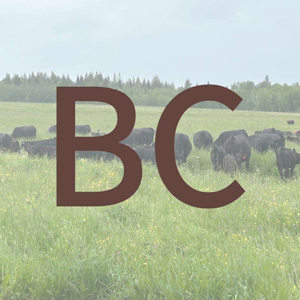 British Columbia – TC Ranch Raised Beef